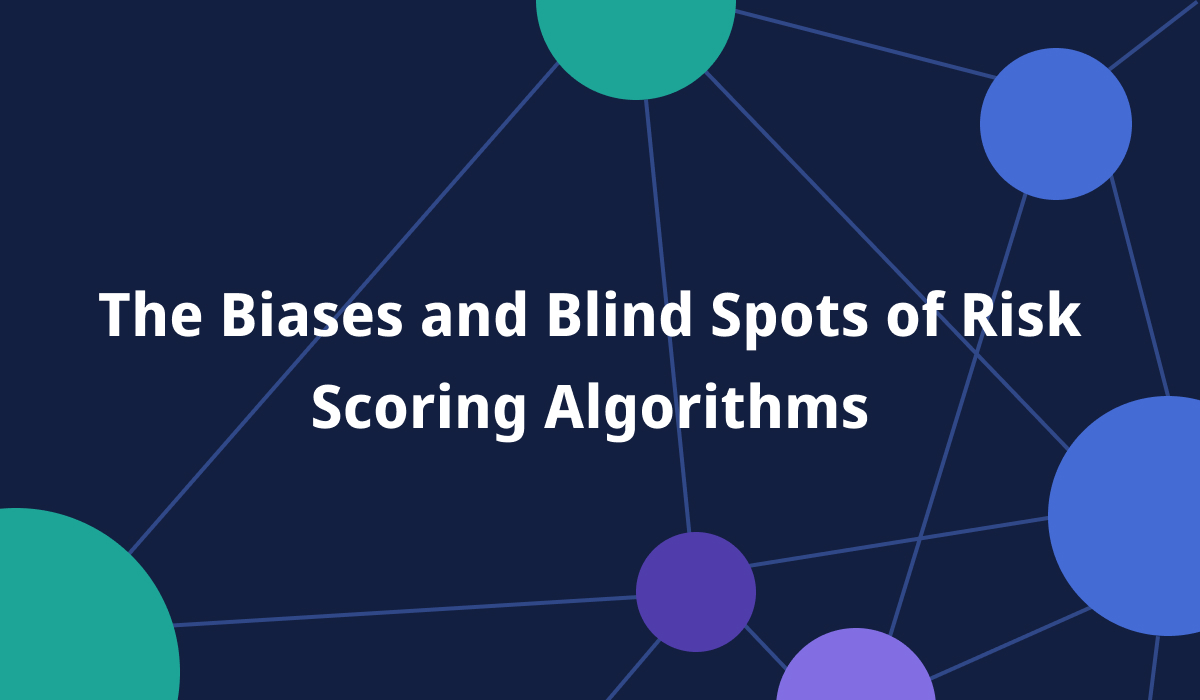 The Biases and Blind Spots of Risk Scoring Algorithms
