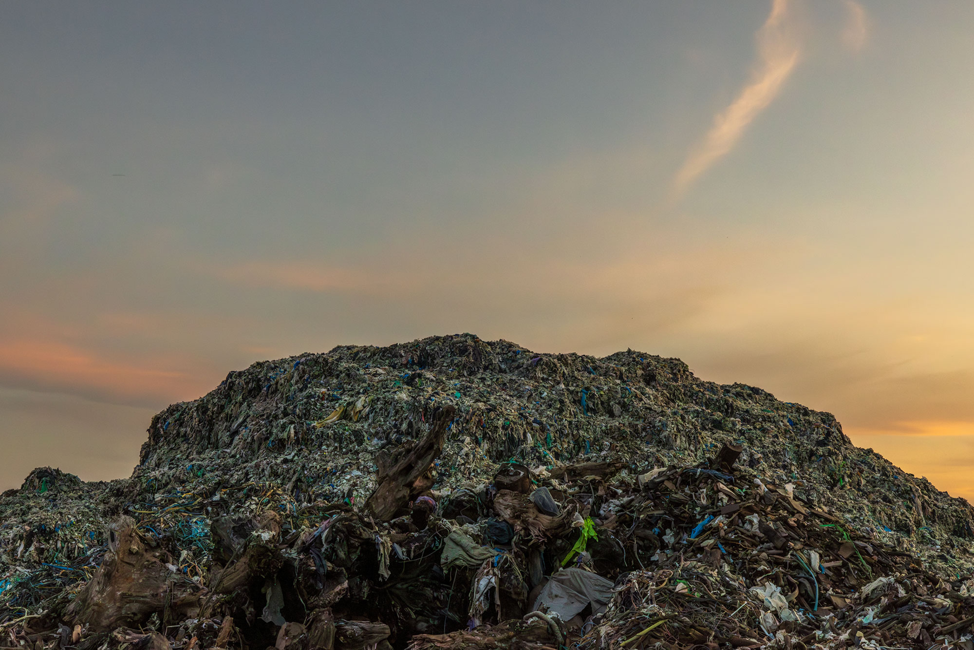 WASTED Documentary Screenings