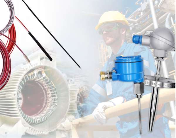 Temperature probe with ATEX approval (Explosion Proof Probes) - Heinz