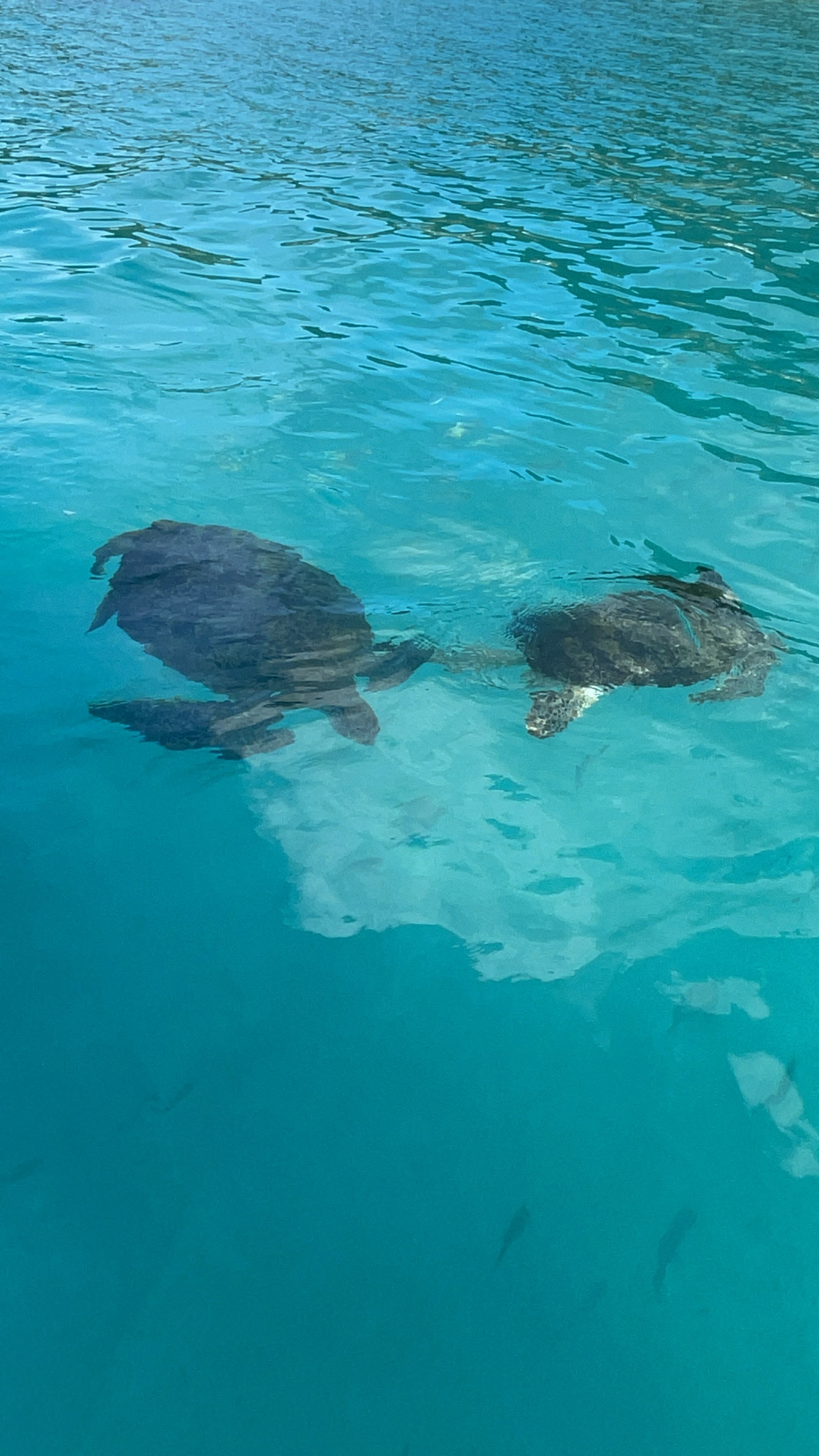 CNN Gallery Album - CNN Industrial Sdn Bhd