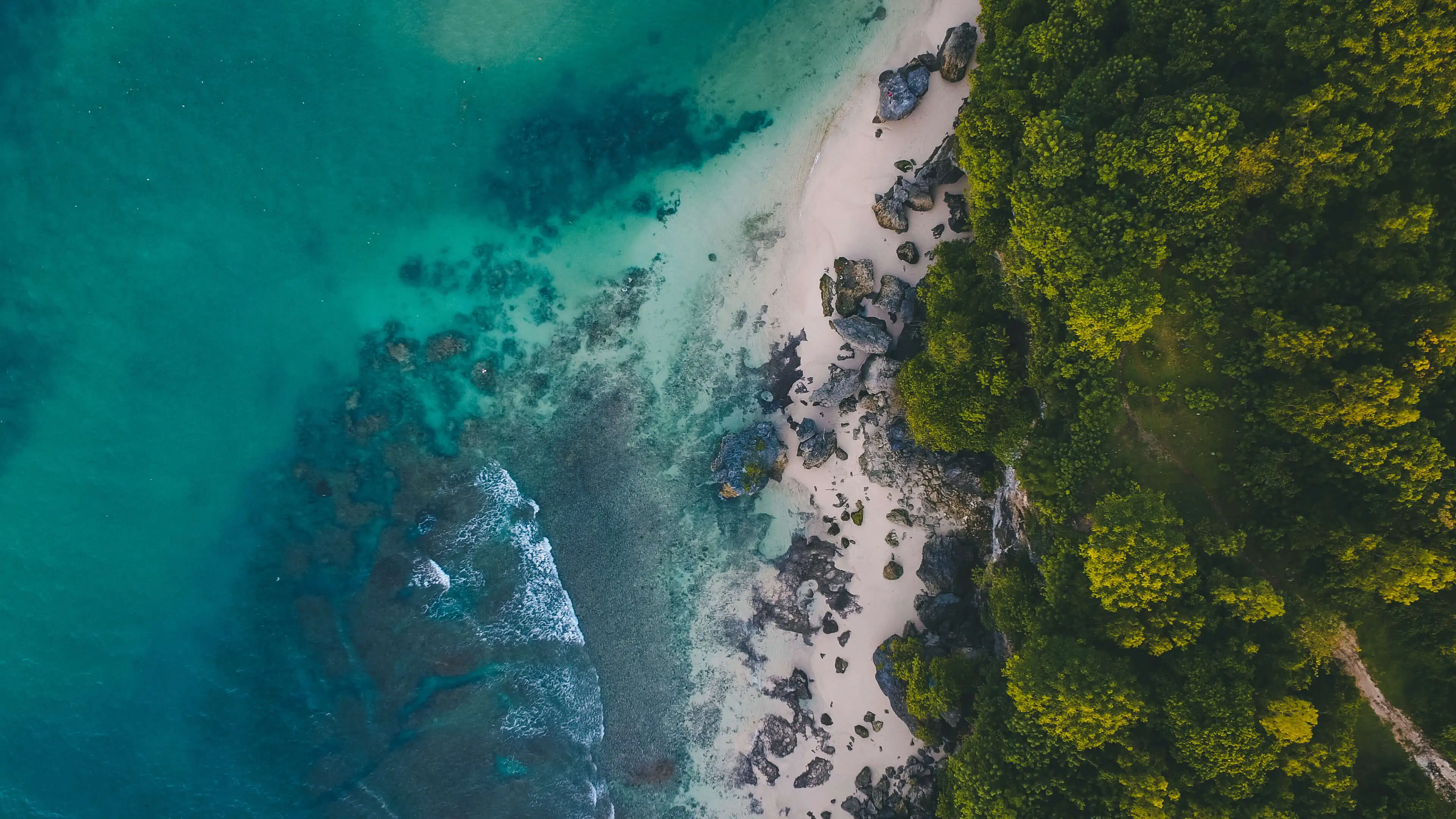 IDEO - A Global Design & Innovation Company