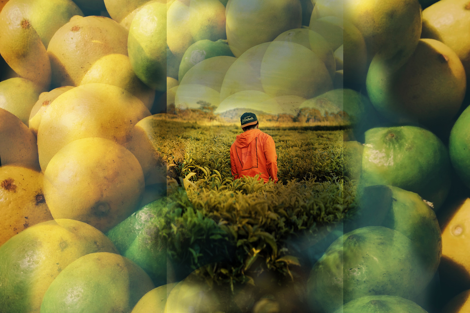 Eliminating Hunger Isn’t Just About Food, It’s About People - IDEO