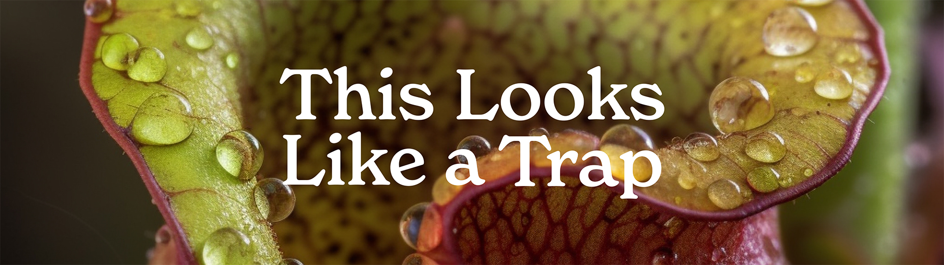 The Five Deadly Innovation Traps—and How to Avoid Them - IDEO