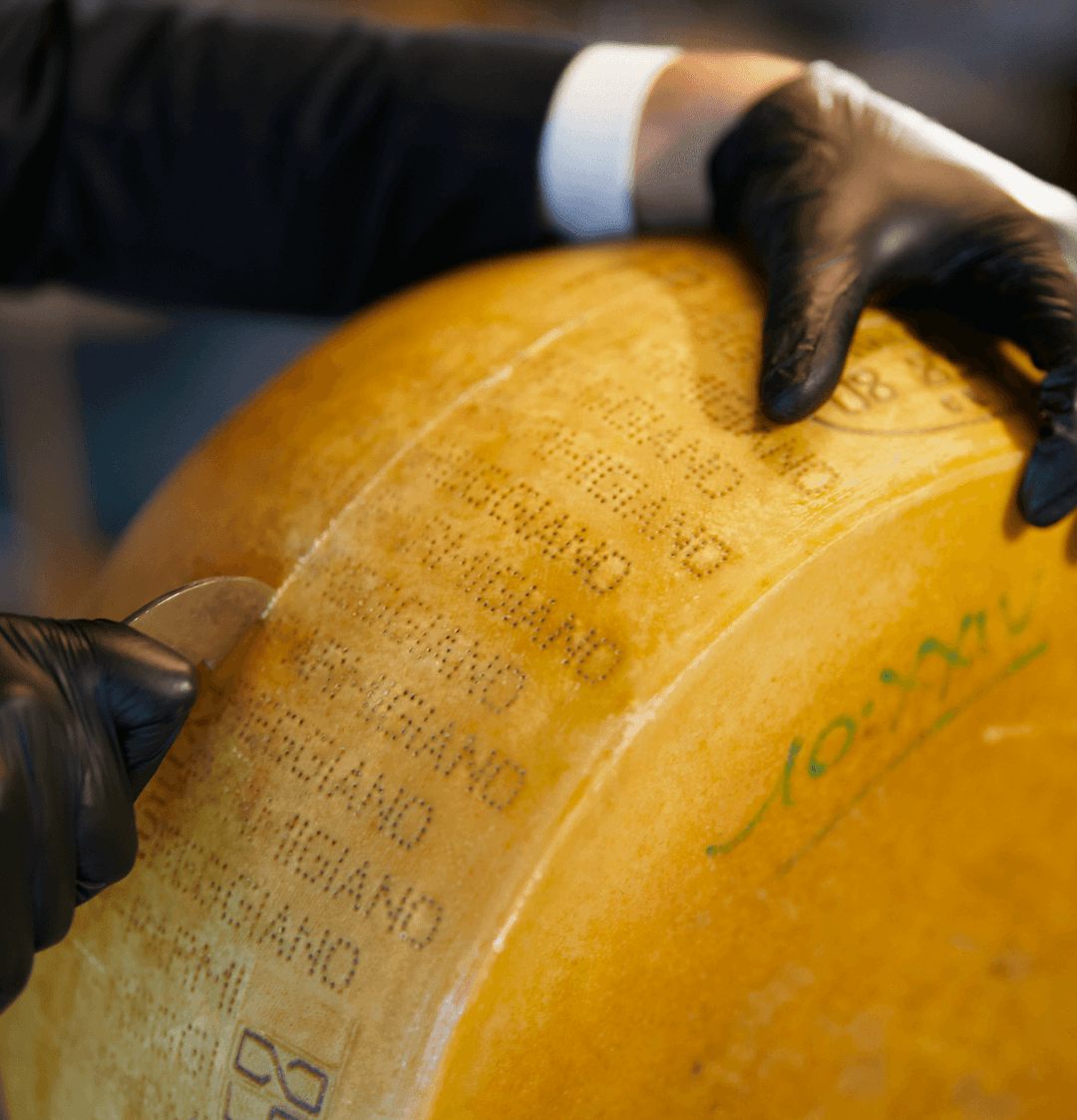 Matteo Ristorante Italiano | Salt Lake City, UT