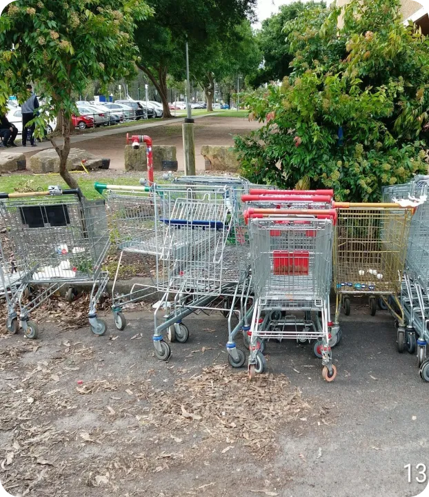 Report Local Issues to Councils | Snap Send Solve