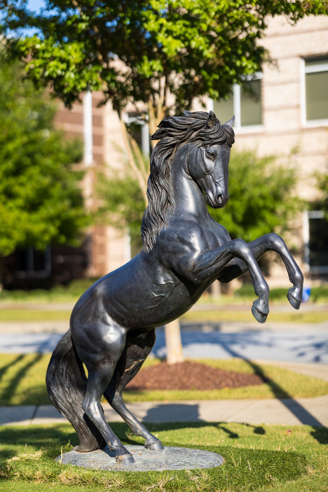 Fulton Science Academy Pre K - 12 | Best Private STEM School in Georgia