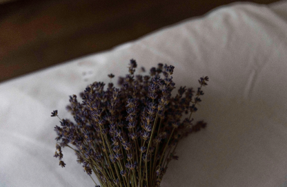 Šviežiausias boutique viešbutis Palangoje – Monist