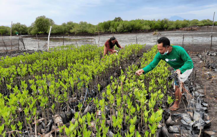 DSG Consumer Partners - Committed Partners to Consumer Brands