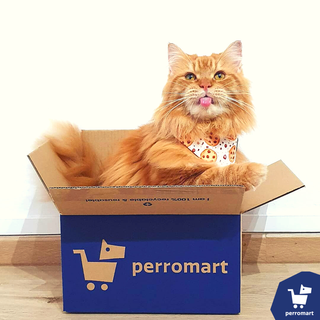 Perro | Brands - DSG Consumer Partners