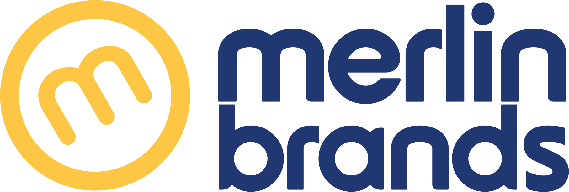 Merlin Brands | Brands - DSG Consumer Partners