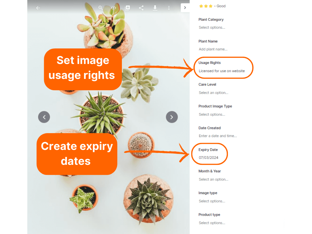 An ecommerce brand’s guide to using stock photography | Dash Blog