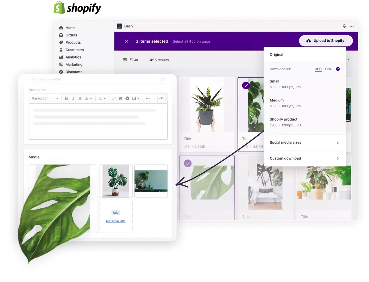 The best image sizes for Shopify | Dash Blog