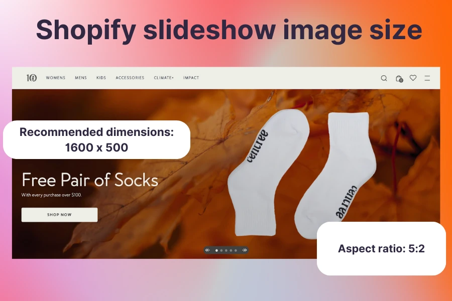 The best image sizes for Shopify | Dash Blog