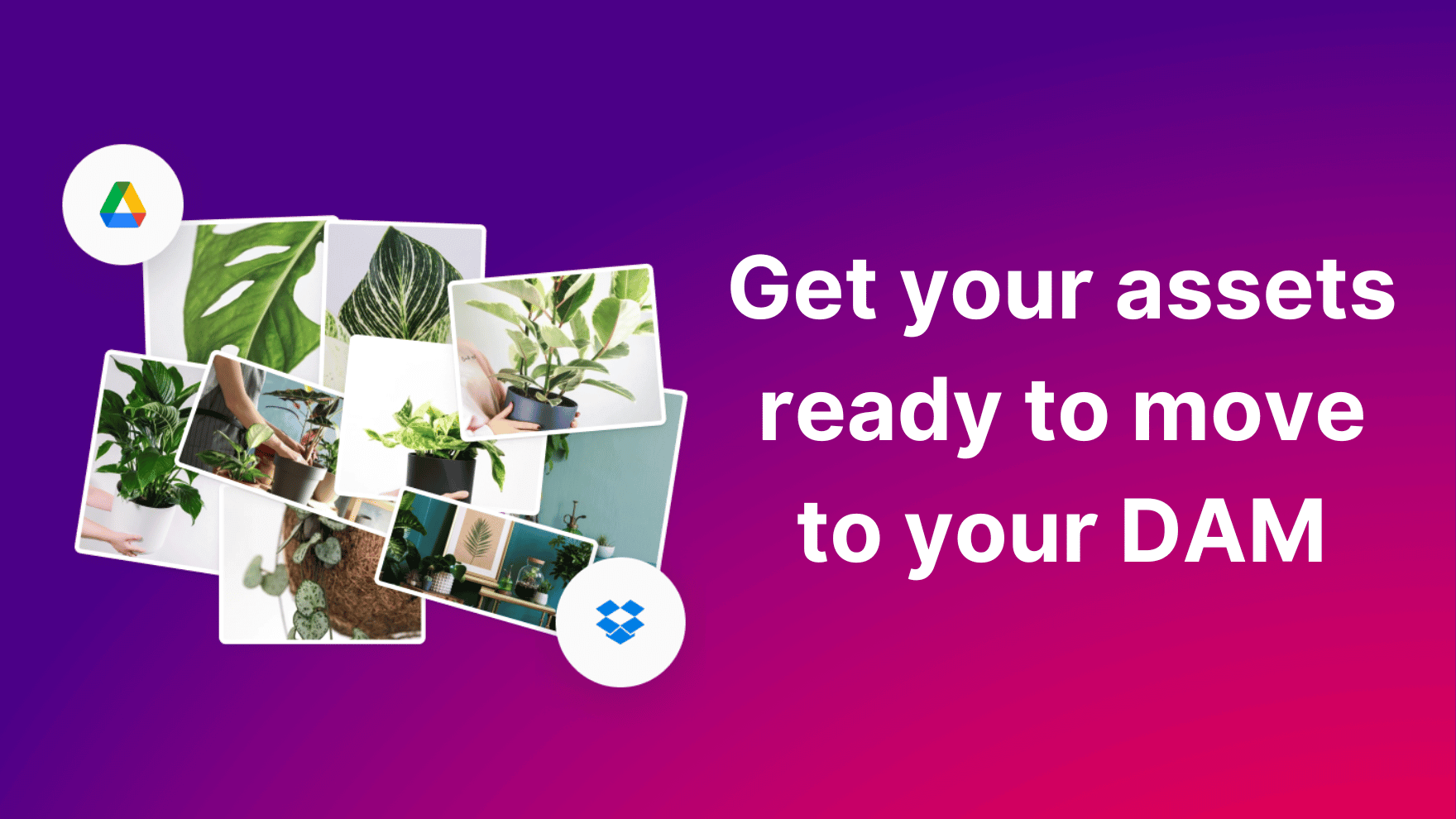 4 steps to migrating your assets to a new DAM | Dash Blog