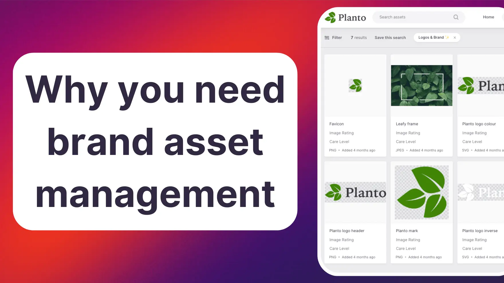 Why your business needs brand asset management
