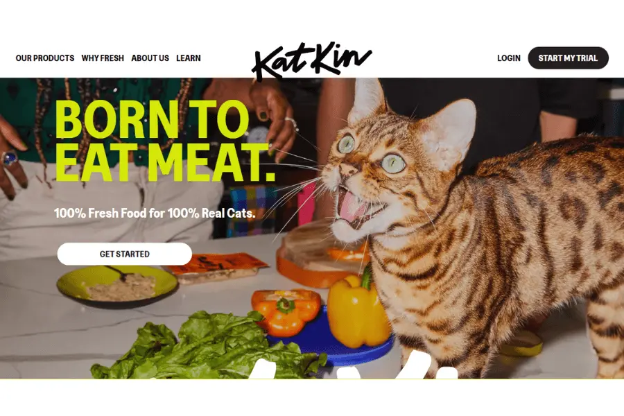 12 challenger brand examples from small businesses