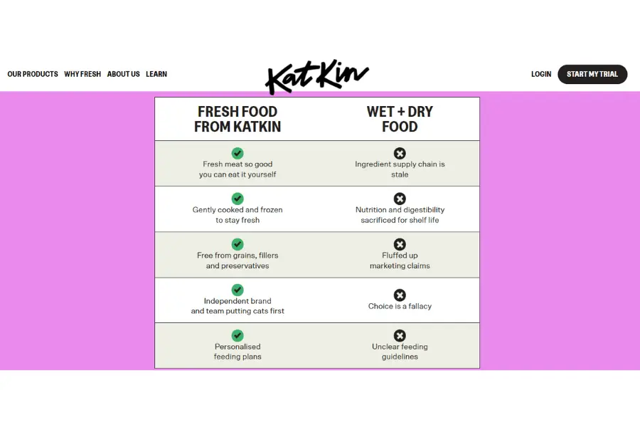 12 challenger brand examples from small businesses