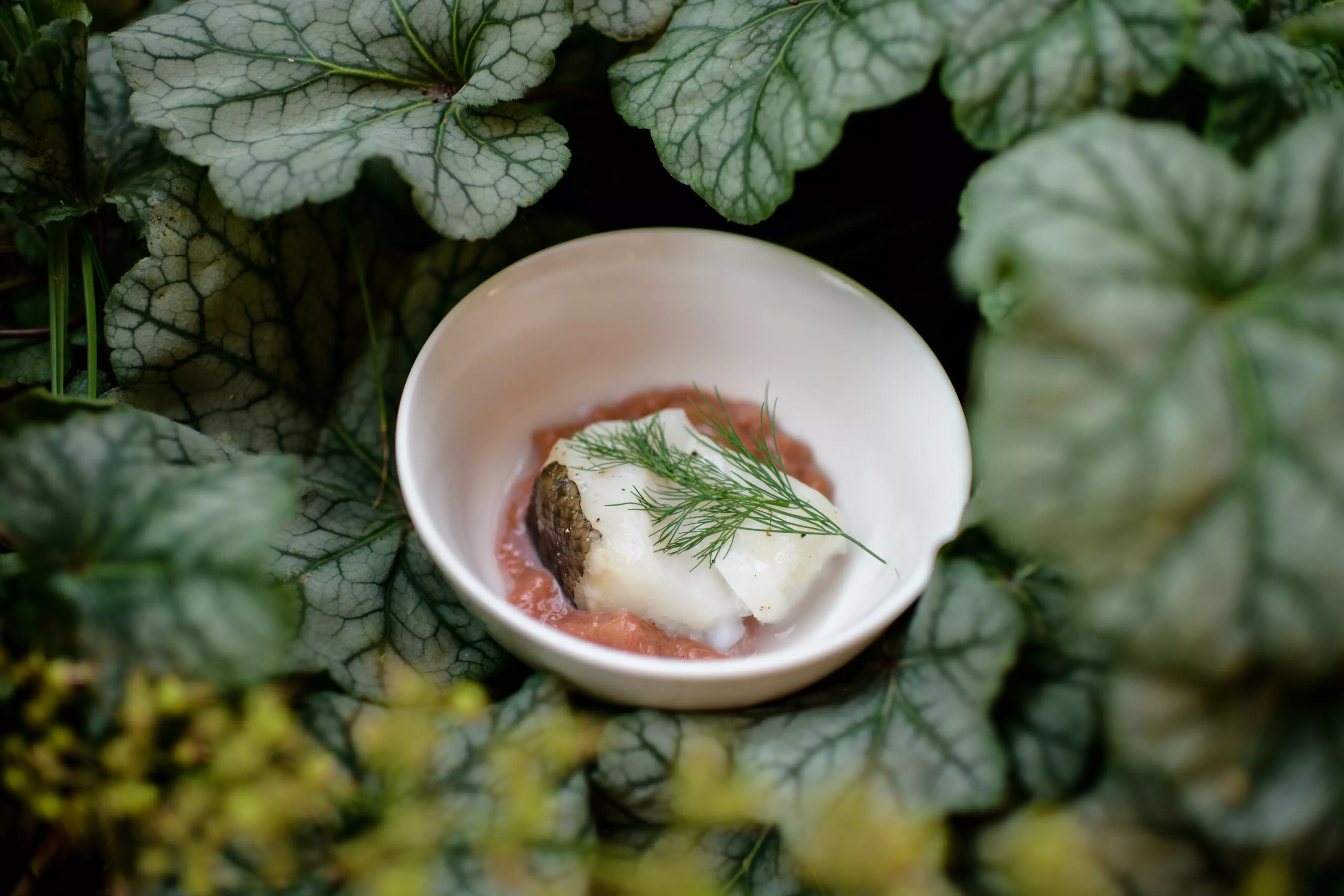 Great - Traiteur Événementiel Depuis 2011