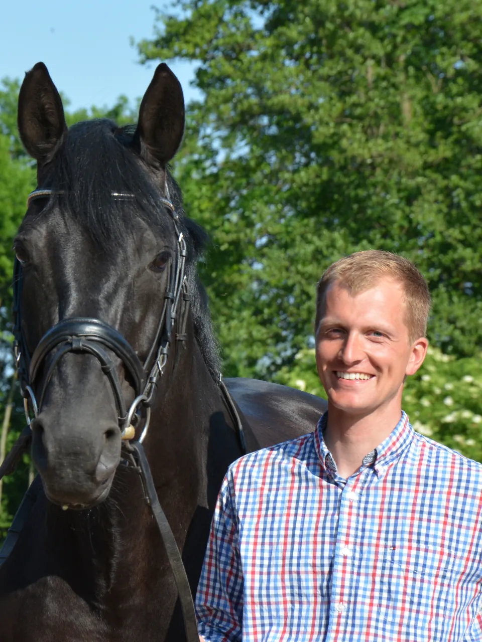 wehorse – Die Online Reitschule