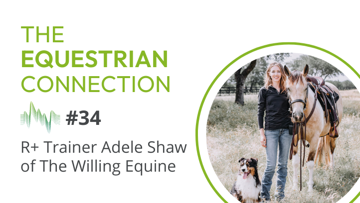 The Equestrian Experience Podcast by wehorse