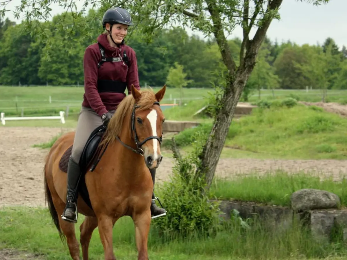 Revitalize Your Horse: The Masterson Method by Jim Masterson