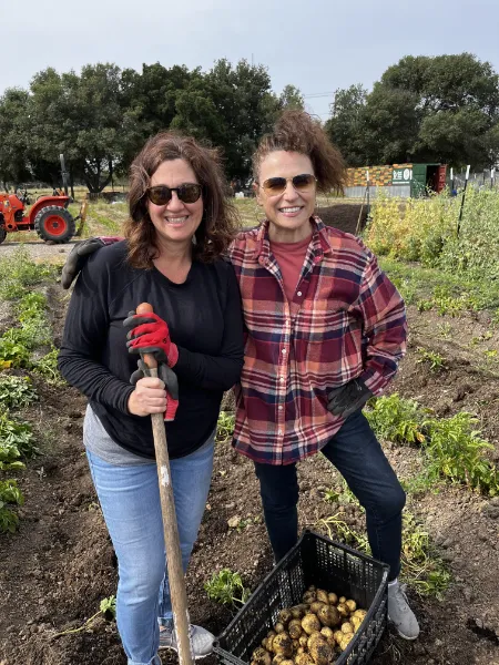 About Us | Expert Acoustical Solutions | Sound Solution Group