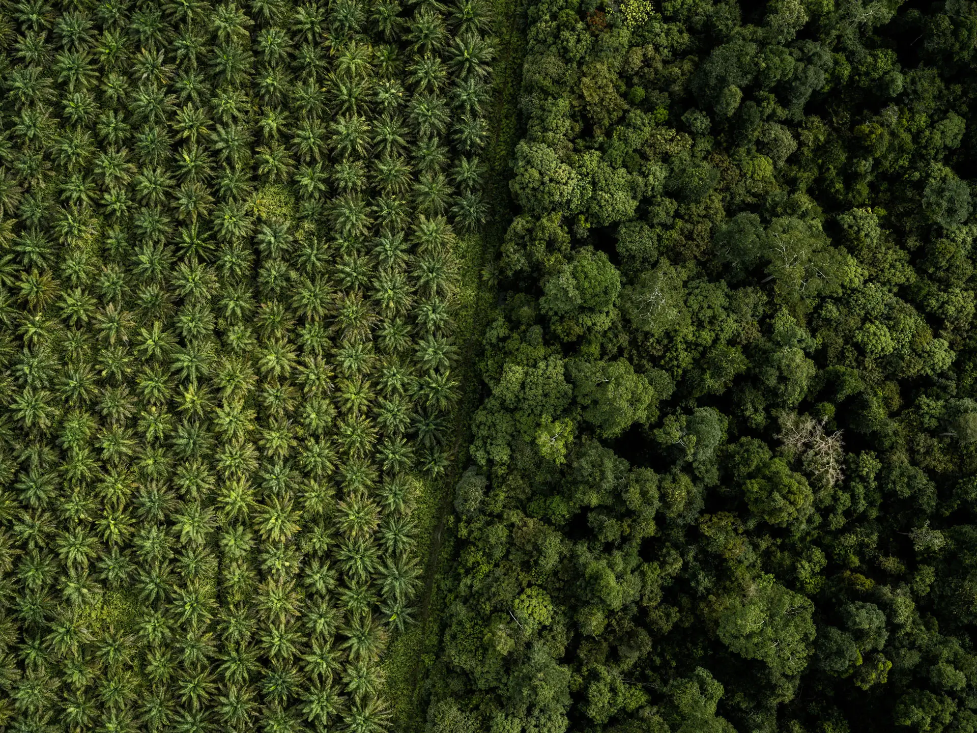 AI-Backed MRV Tools from Landler Improve Environmental Outcomes for ...