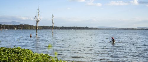 What are Grease Traps and How Do They Work?