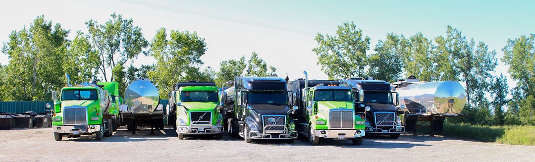 About Evergreen Grease