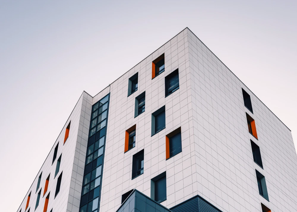 NutsDev Portfolio — Digital Design Agency