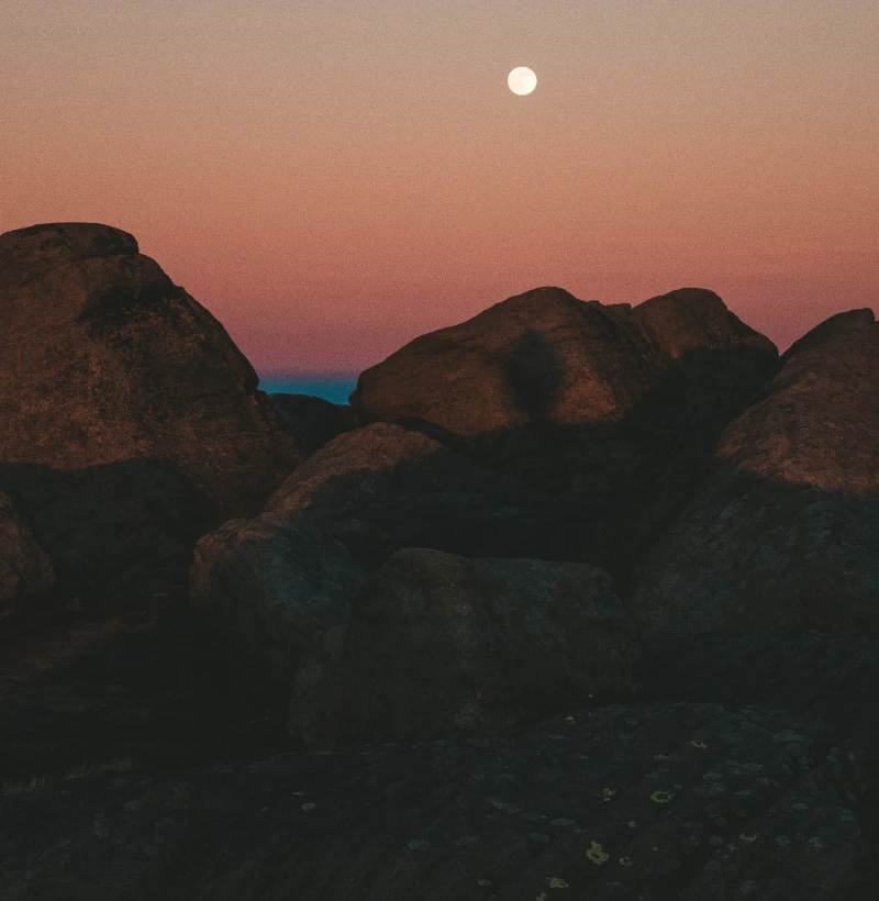 anui | The future of AI from the Hunt, Gather Makers + Doers