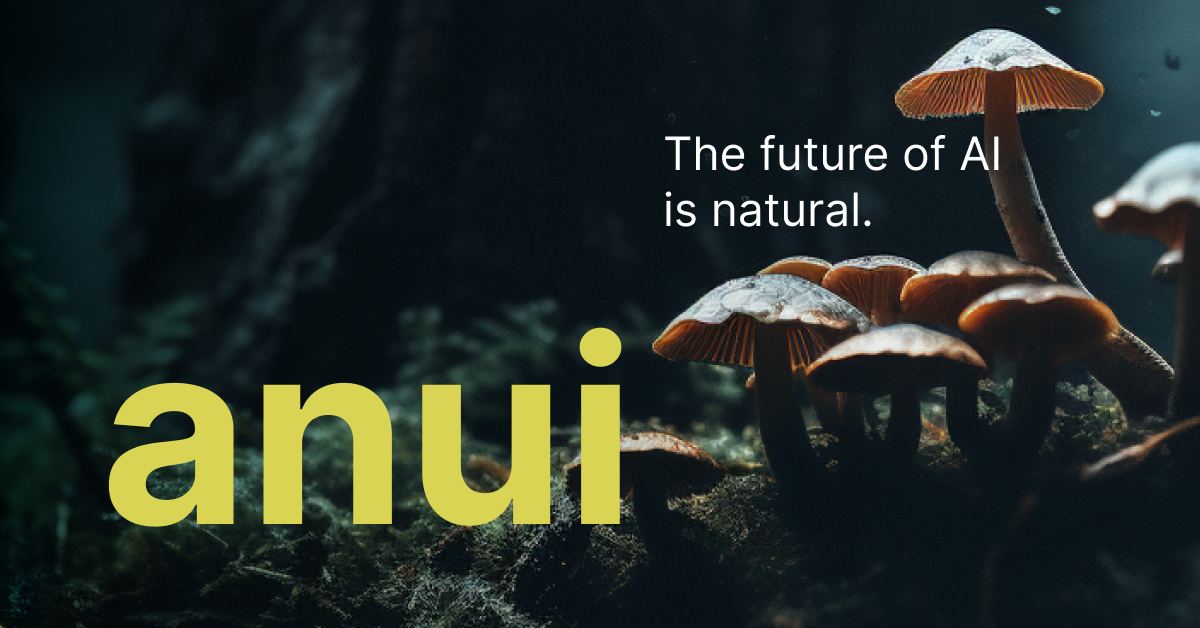 anui | The future of AI from the Hunt, Gather Makers + Doers