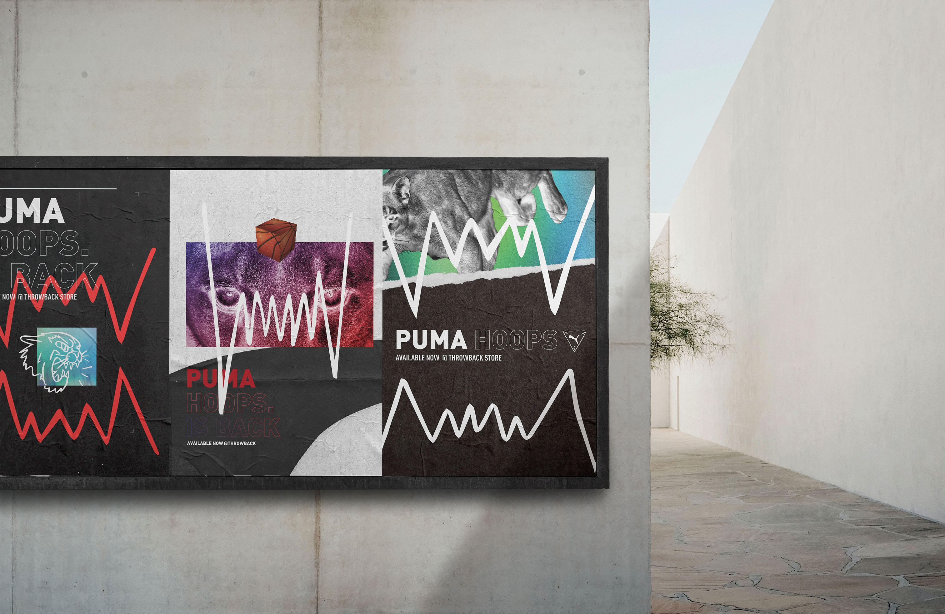 Puma Hoops Australian Launch | Project for Puma Basketball