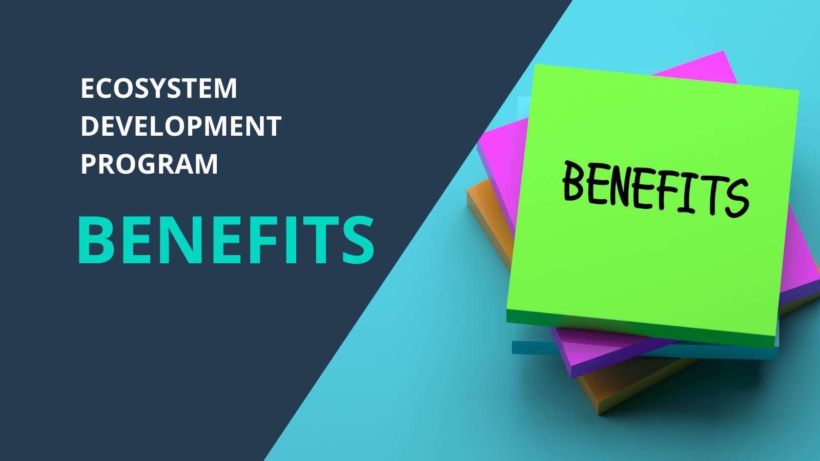 Ecosystem Development Program Benefits - Metis