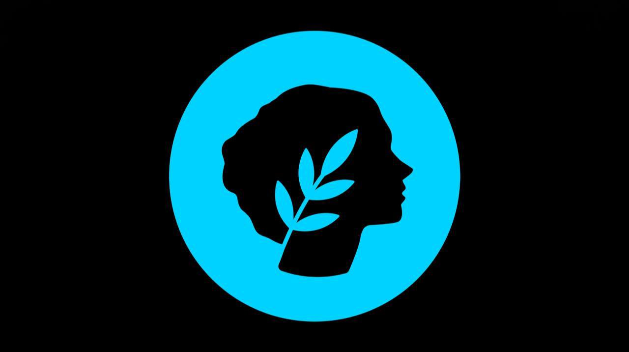 Metis EDF: A New Chapter for Metis - Metis