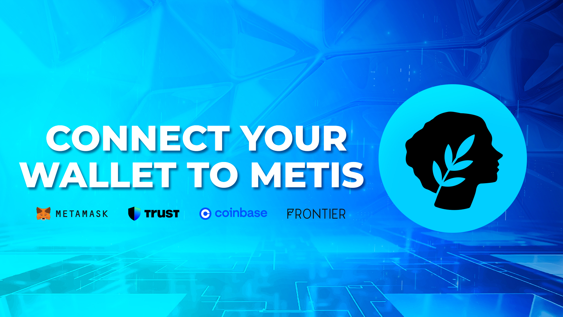 How to connect your wallet to Metis - Metis