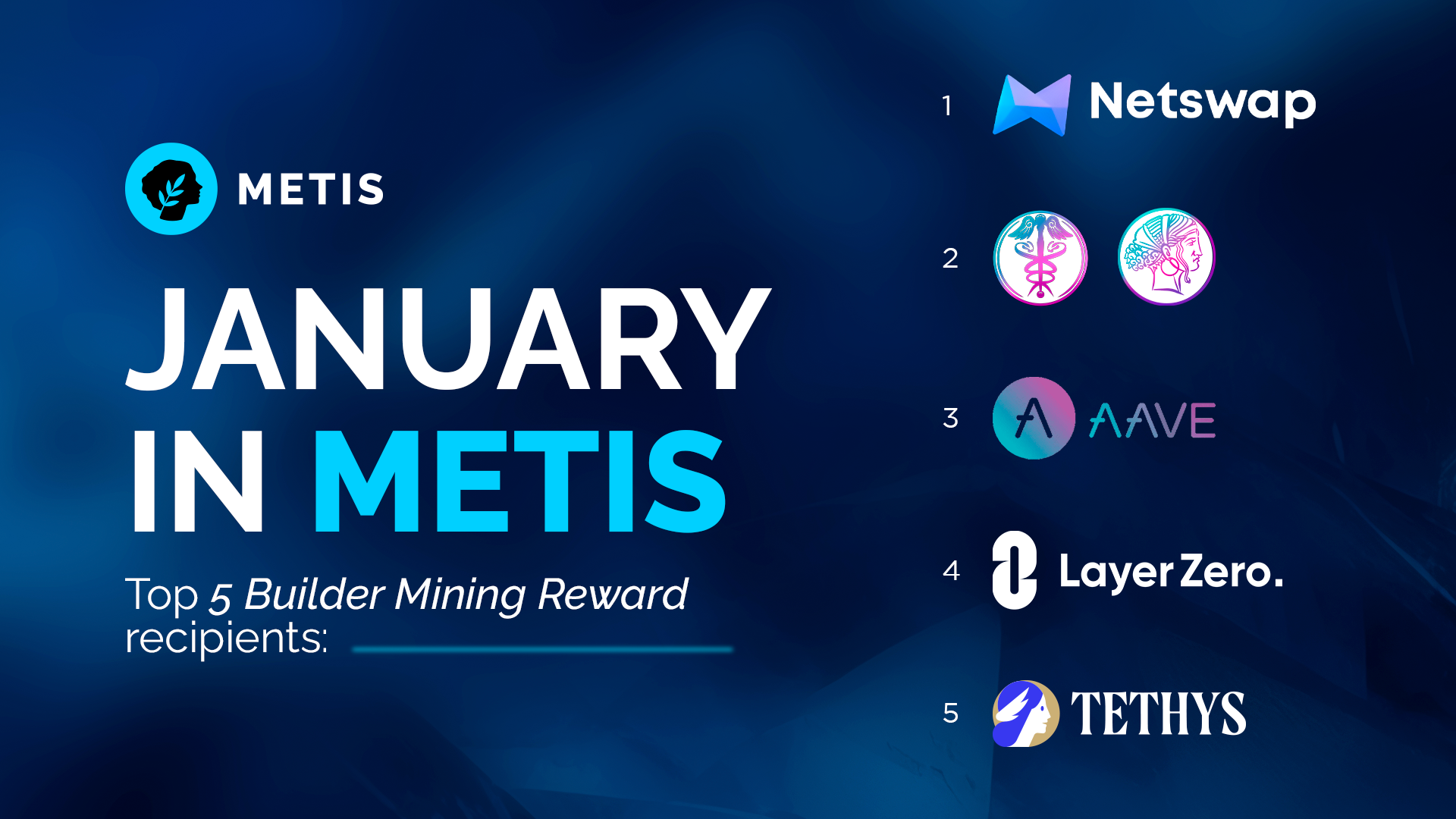 January in Metis 2024 - Metis
