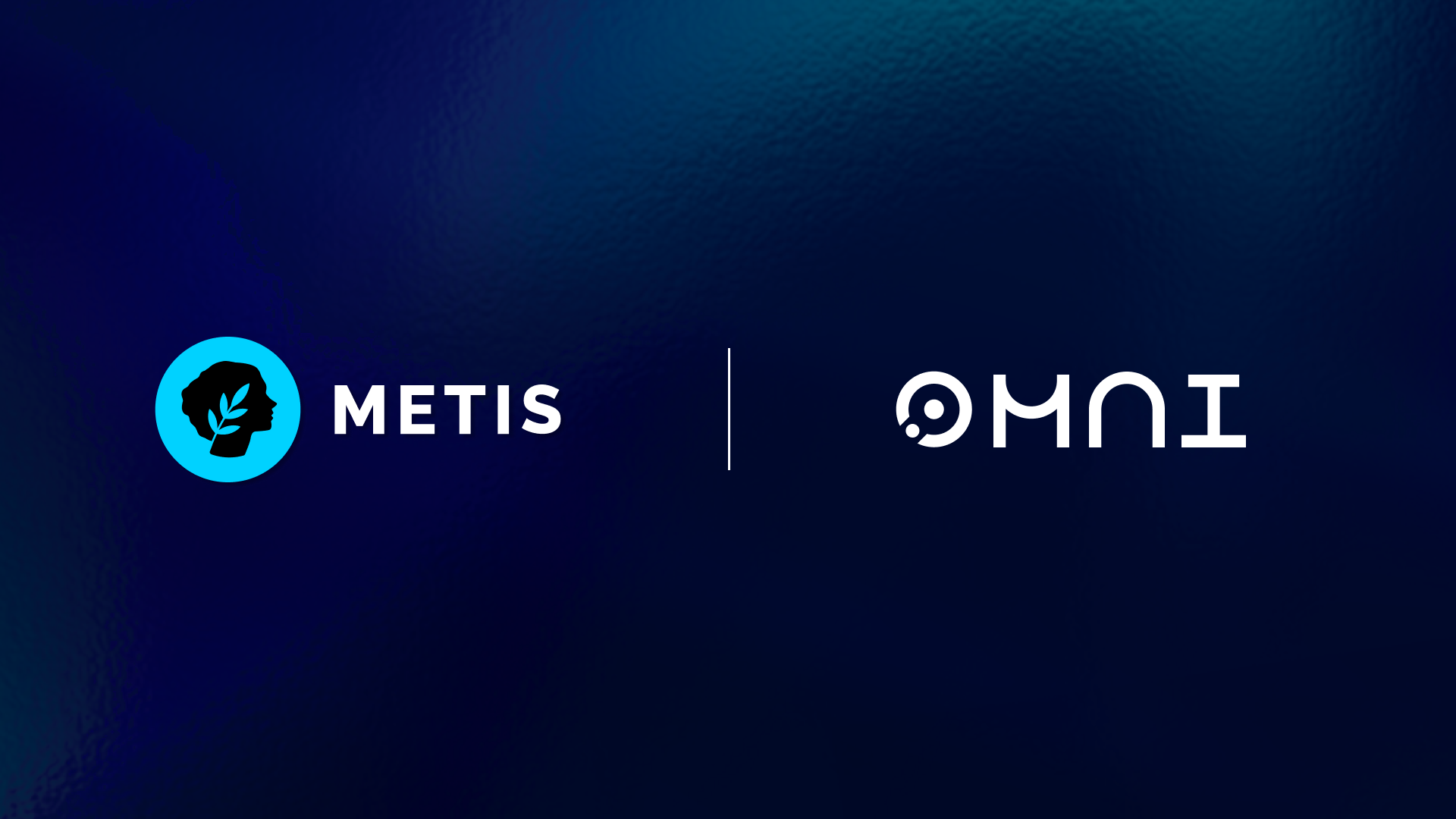 Developers - Metis-Smart L2