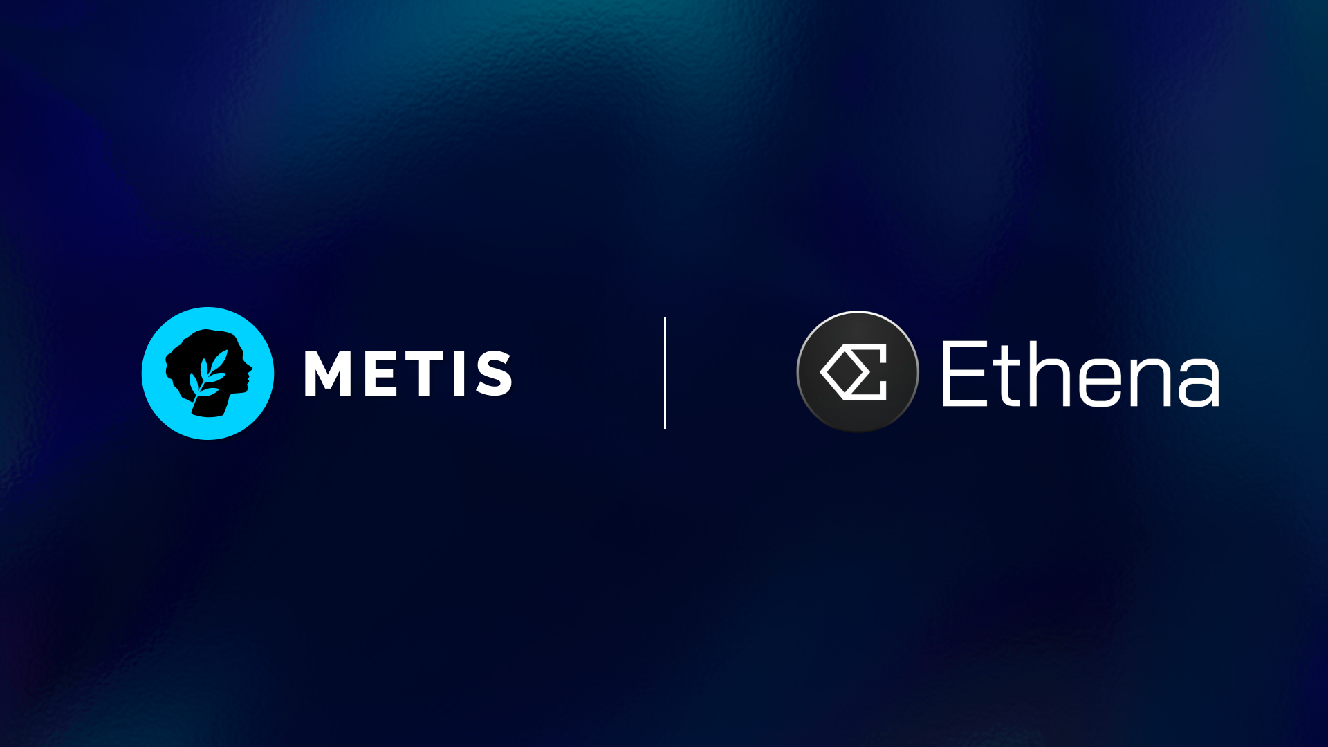 Developers - Metis-Smart L2