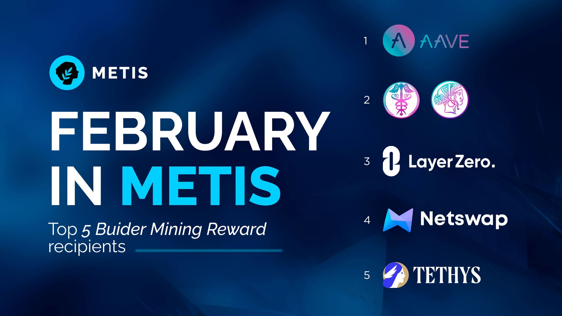 Developers - Metis-Smart L2