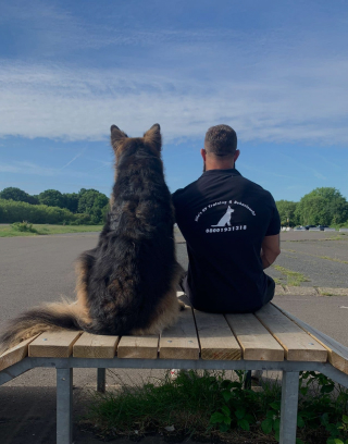 Kilos K9 Training | Home