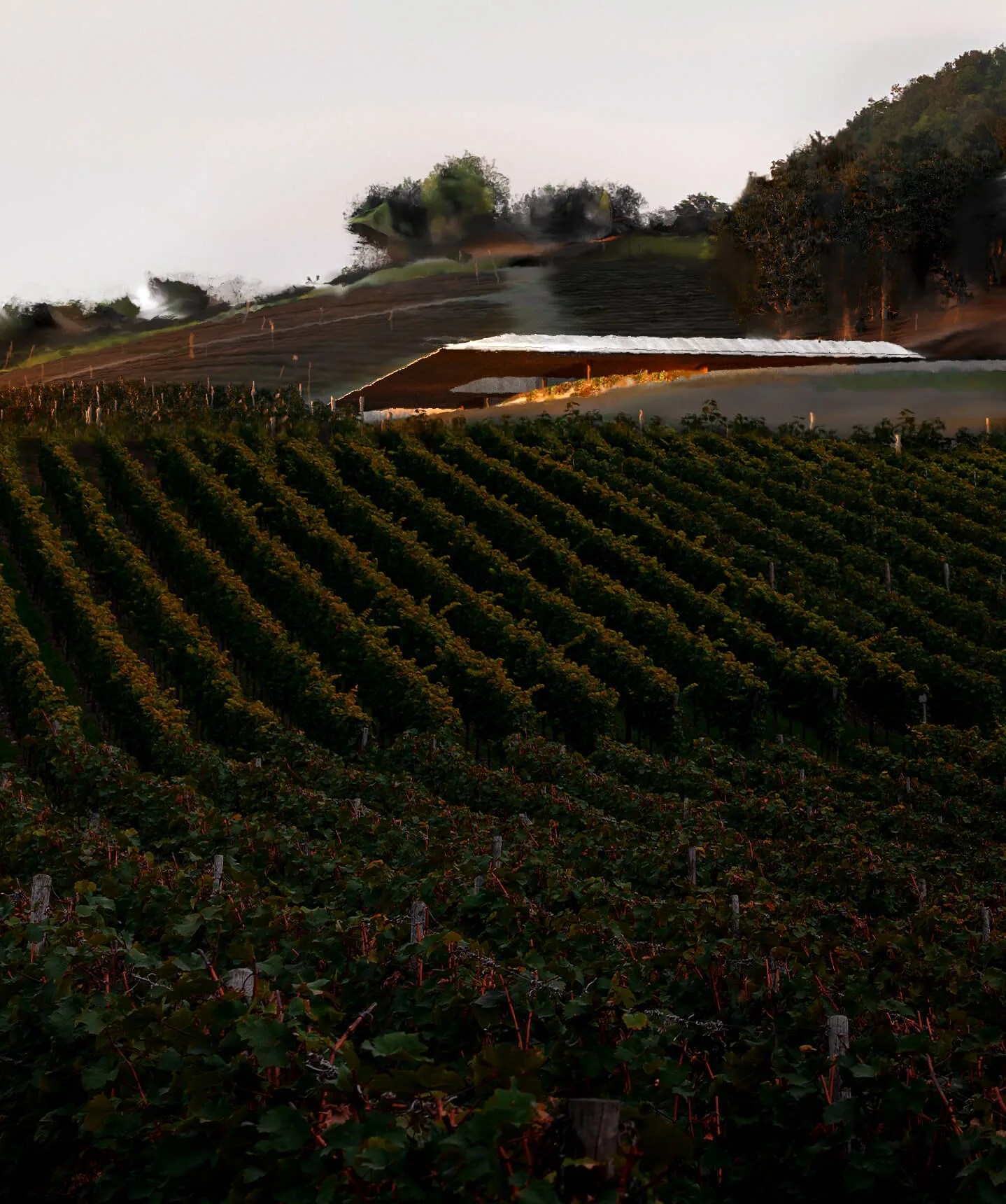 Ink Grade Winery — Atelier Jørgensen