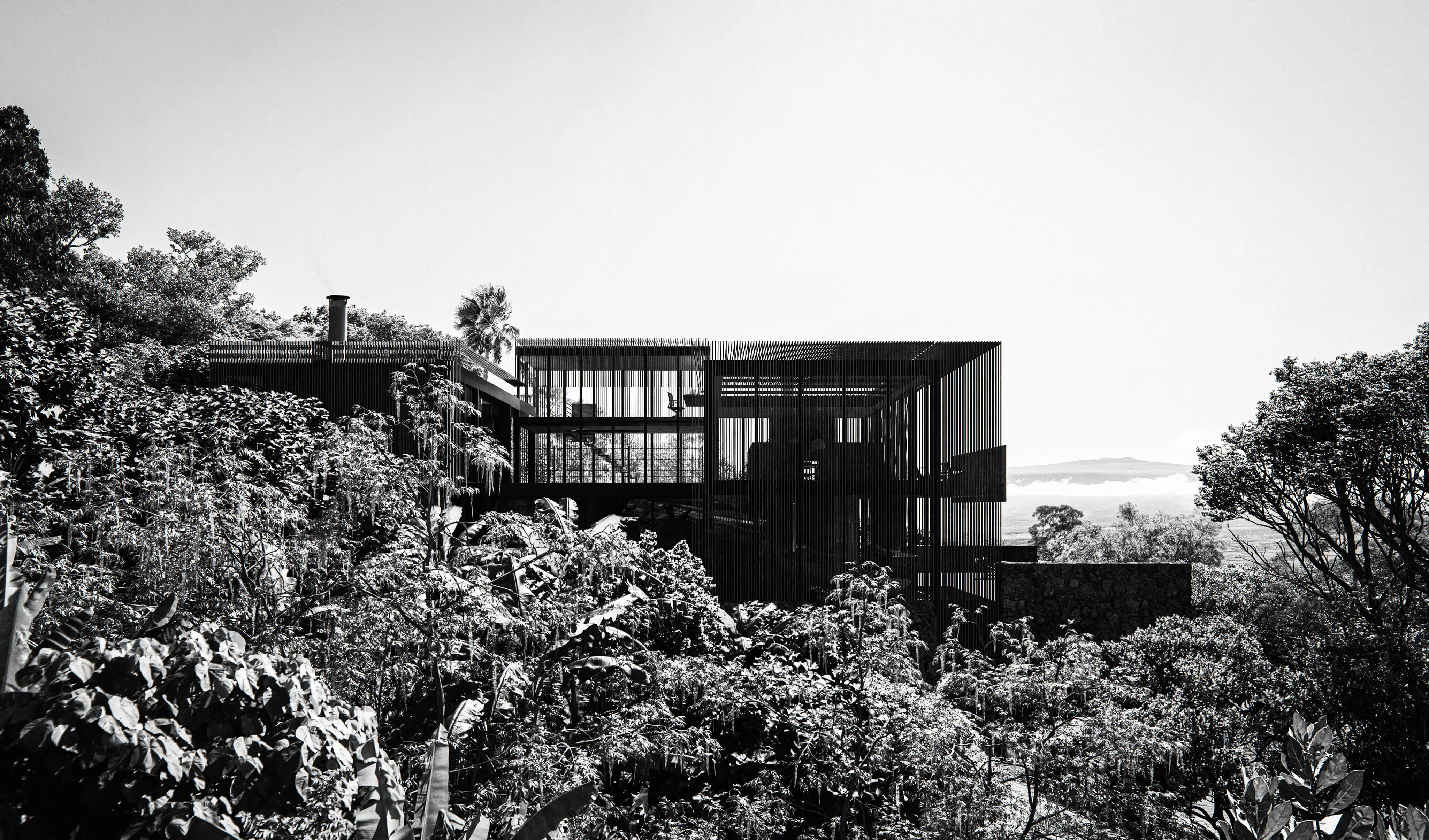 Puuki House - Ansel Adams