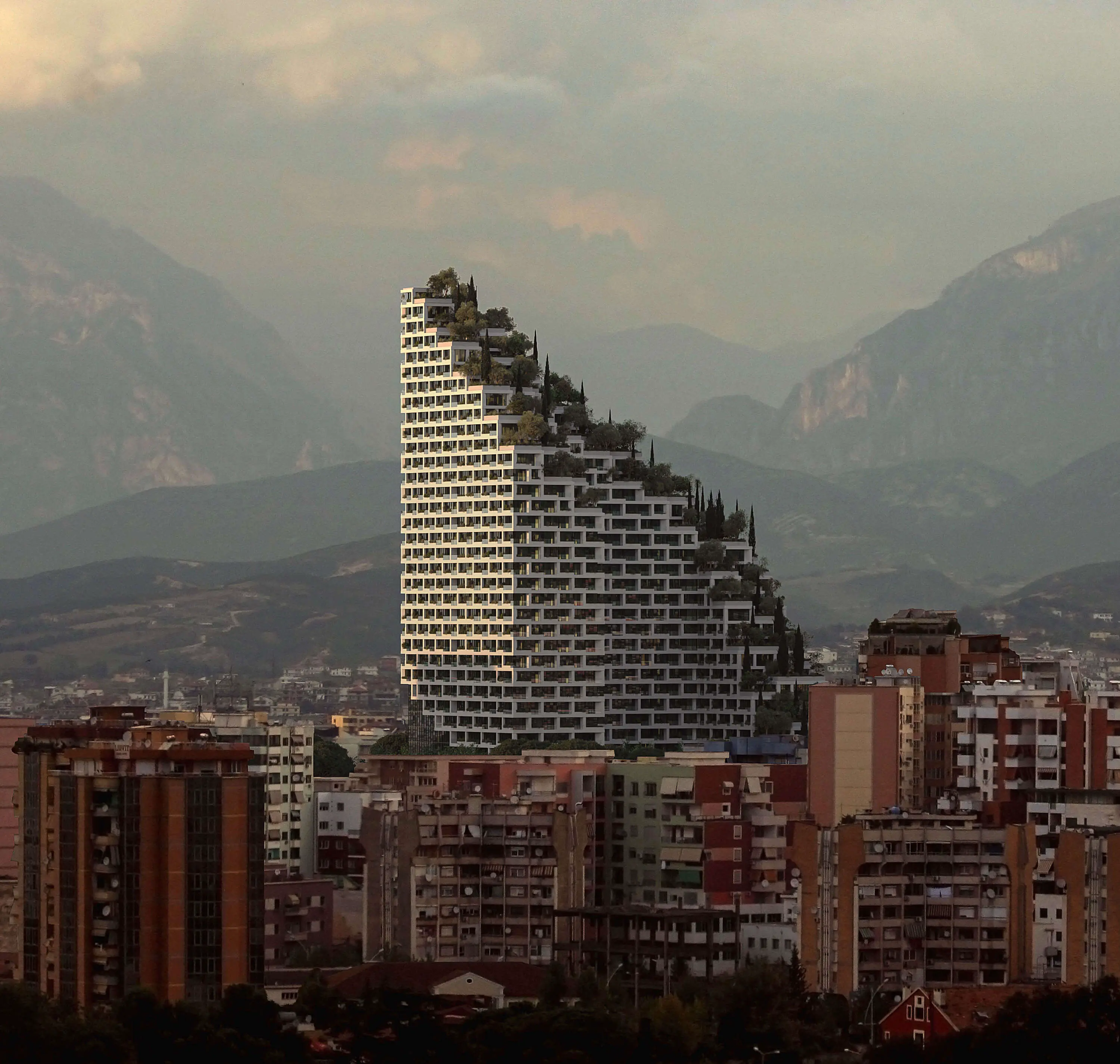 Lion - Resting Softly