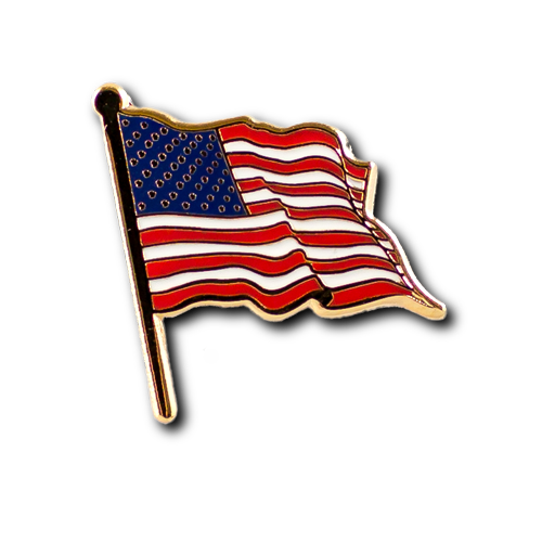 American Flag On Pole Pin | PinProsPlus Store