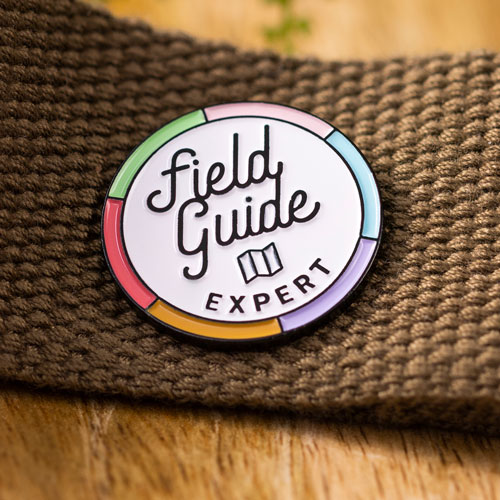 Sample Pack | PinProsPlus Store