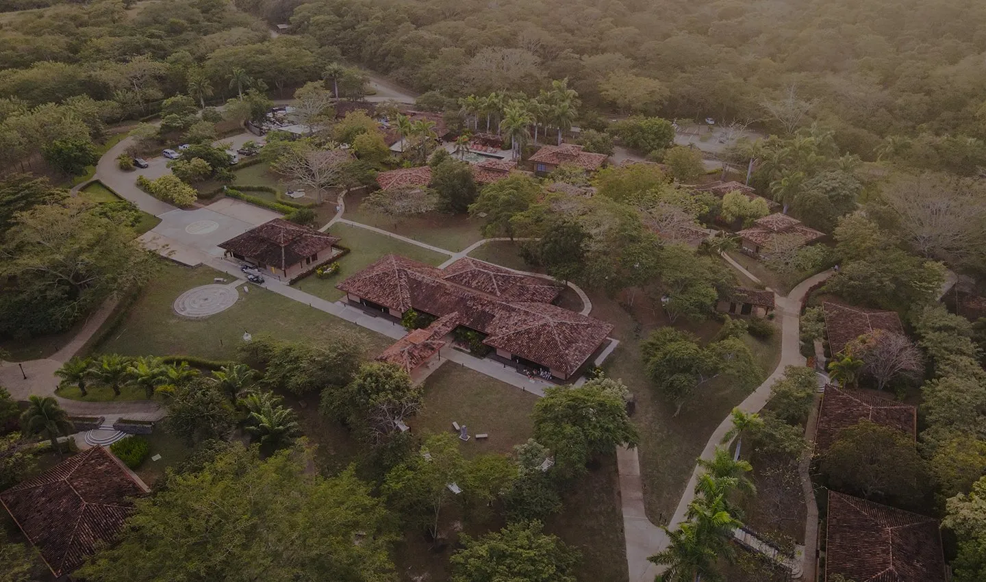 RLife Privacy Policy and Terms and Conditions