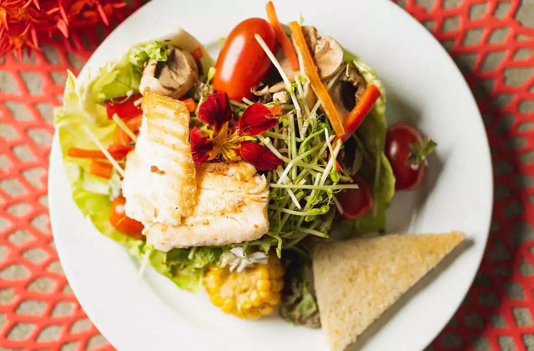 Luxurious Ayahuasca Resort in Costa Rica | Rythmia