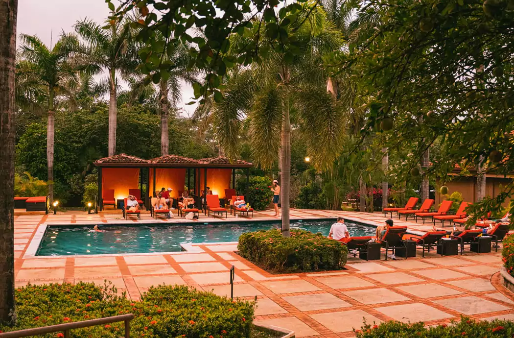 Luxury Plant Medicine and Ayahuasca Retreat Center | Rythmia