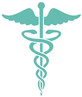 Luxury Plant Medicine and Ayahuasca Retreat Center | Rythmia